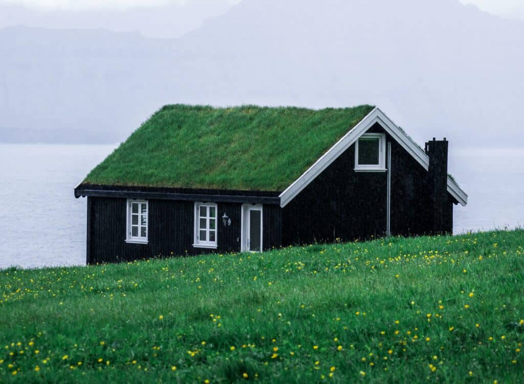Les toits végétalisés en France : une solution écologique et esthétique ...
