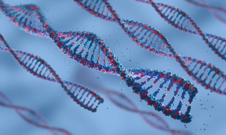 Différences entre génotype et phénotype : Tout comprendre